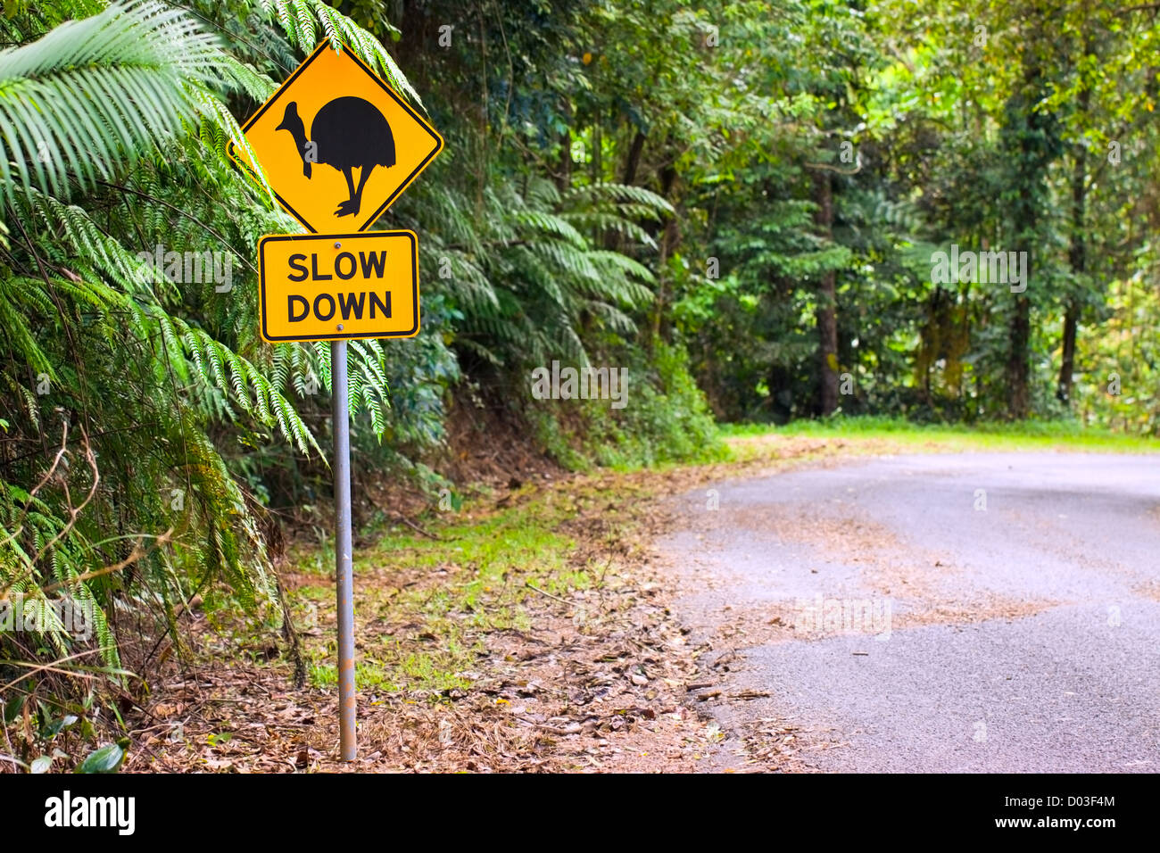 Cassowary warning sign hi-res stock photography and images - Alamy