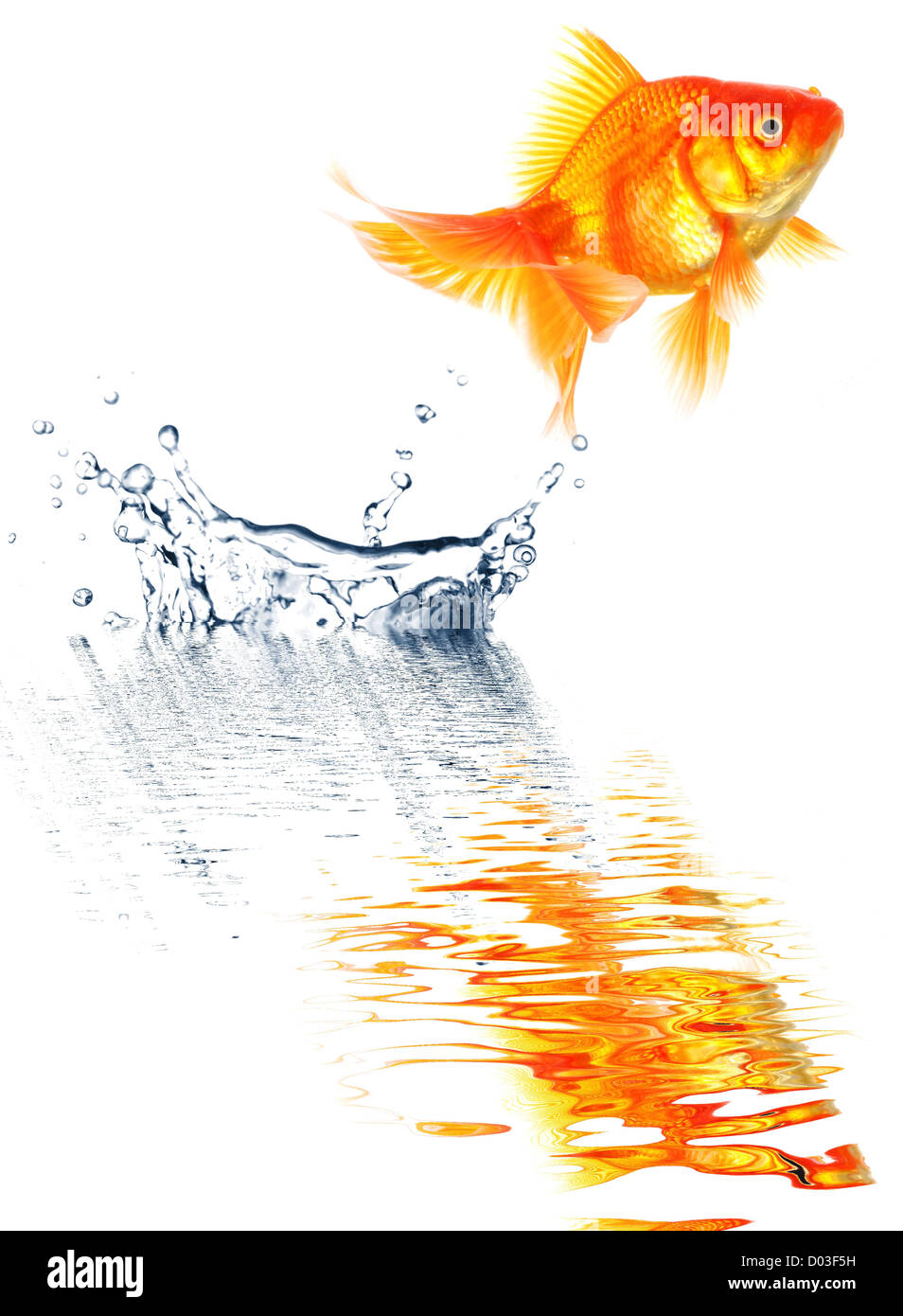 Goldfish water splash hi-res stock photography and images - Alamy