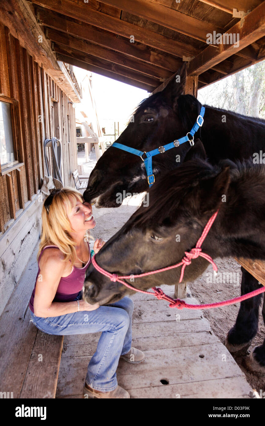 White stallion ranch usa hi-res stock photography and images - Alamy