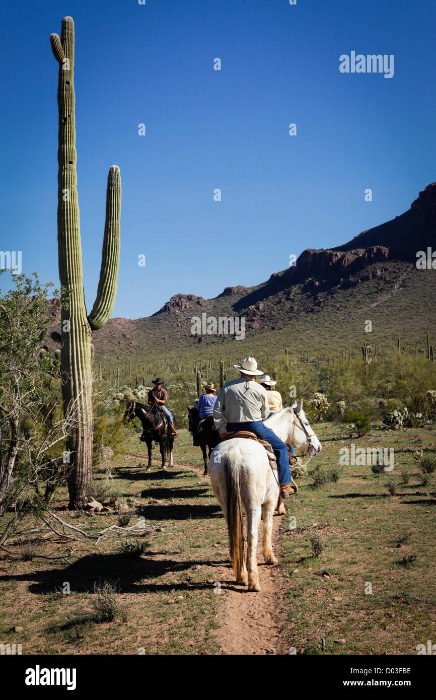 Tucson, Arizona, United States. White Stallion Dude Ranch Stock Photo ...