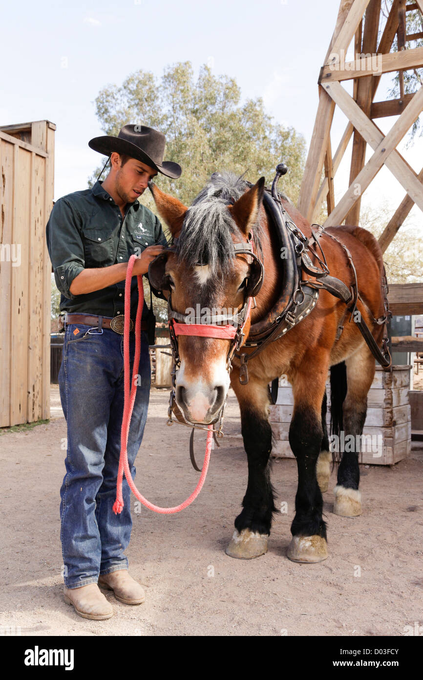 Tucson, Arizona, United States. White Stallion Dude Ranch Stock Photo ...
