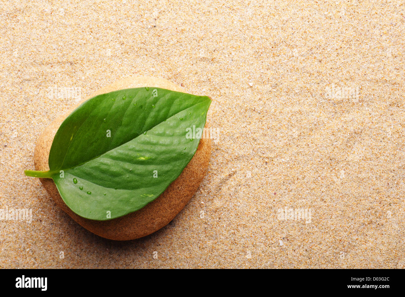 zen stone with leaf on sand showing spa concept Stock Photo - Alamy
