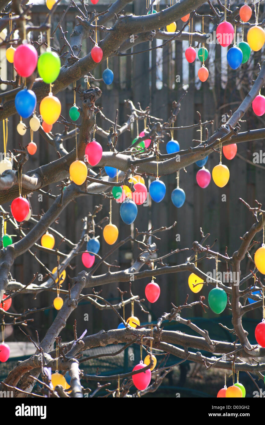 Eastertree with colourful eggs outside in the Stock Photo - Alamy