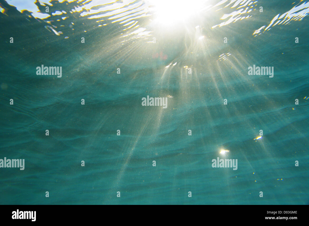 sun rays shines through water surface in the red sea Stock Photo - Alamy