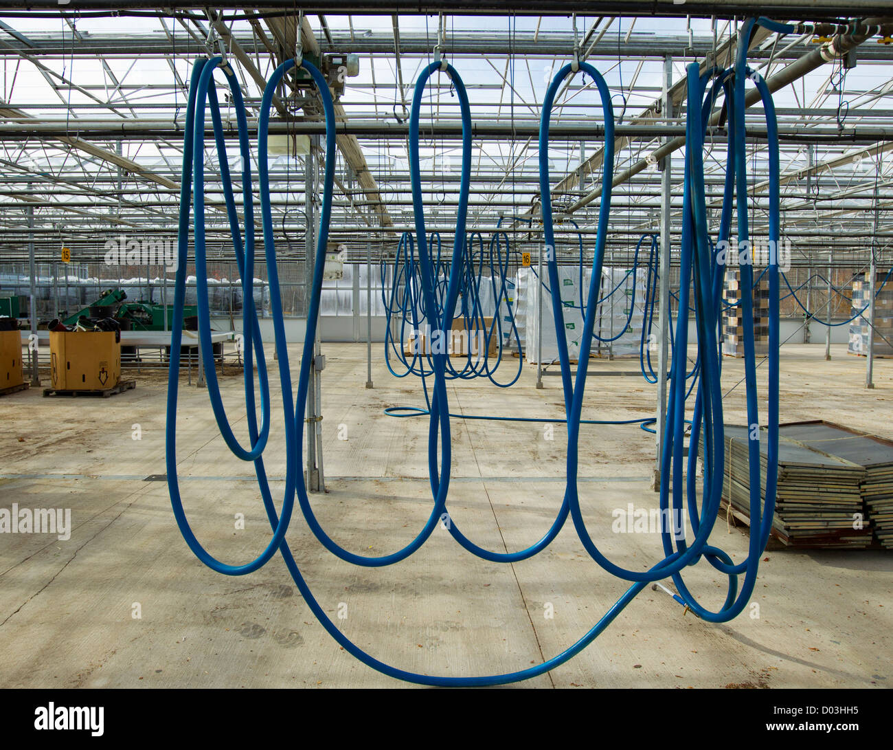 Hoses hanging in a greenhouse Stock Photo - Alamy