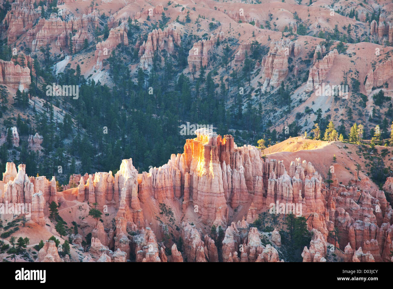 rain in Bryce Canyon Stock Photo - Alamy