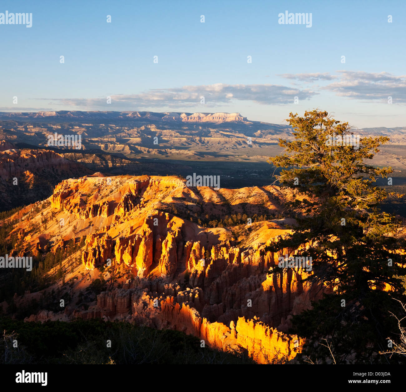 rain in Bryce Canyon Stock Photo - Alamy