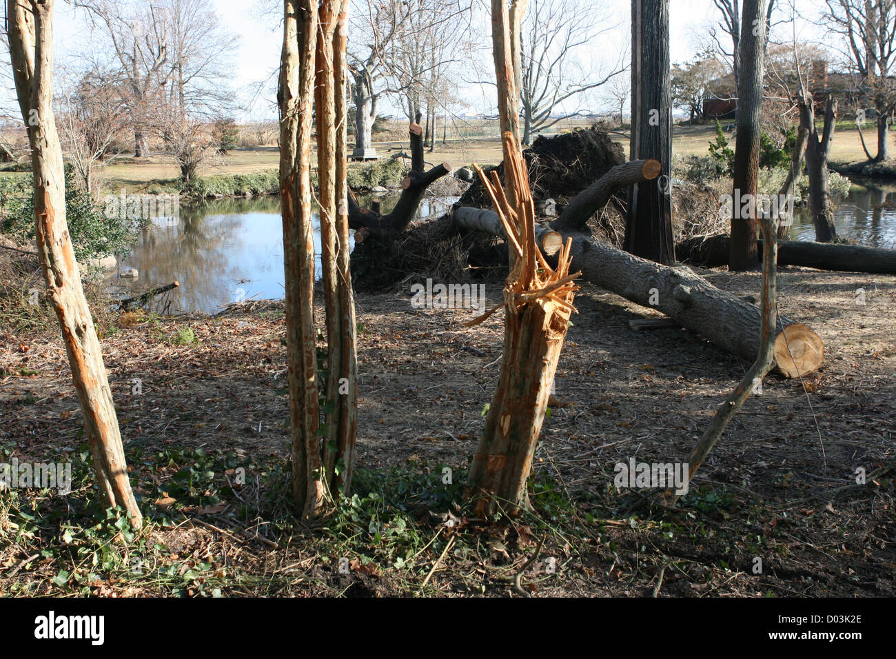 Cedarhurst hi-res stock photography and images - Alamy
