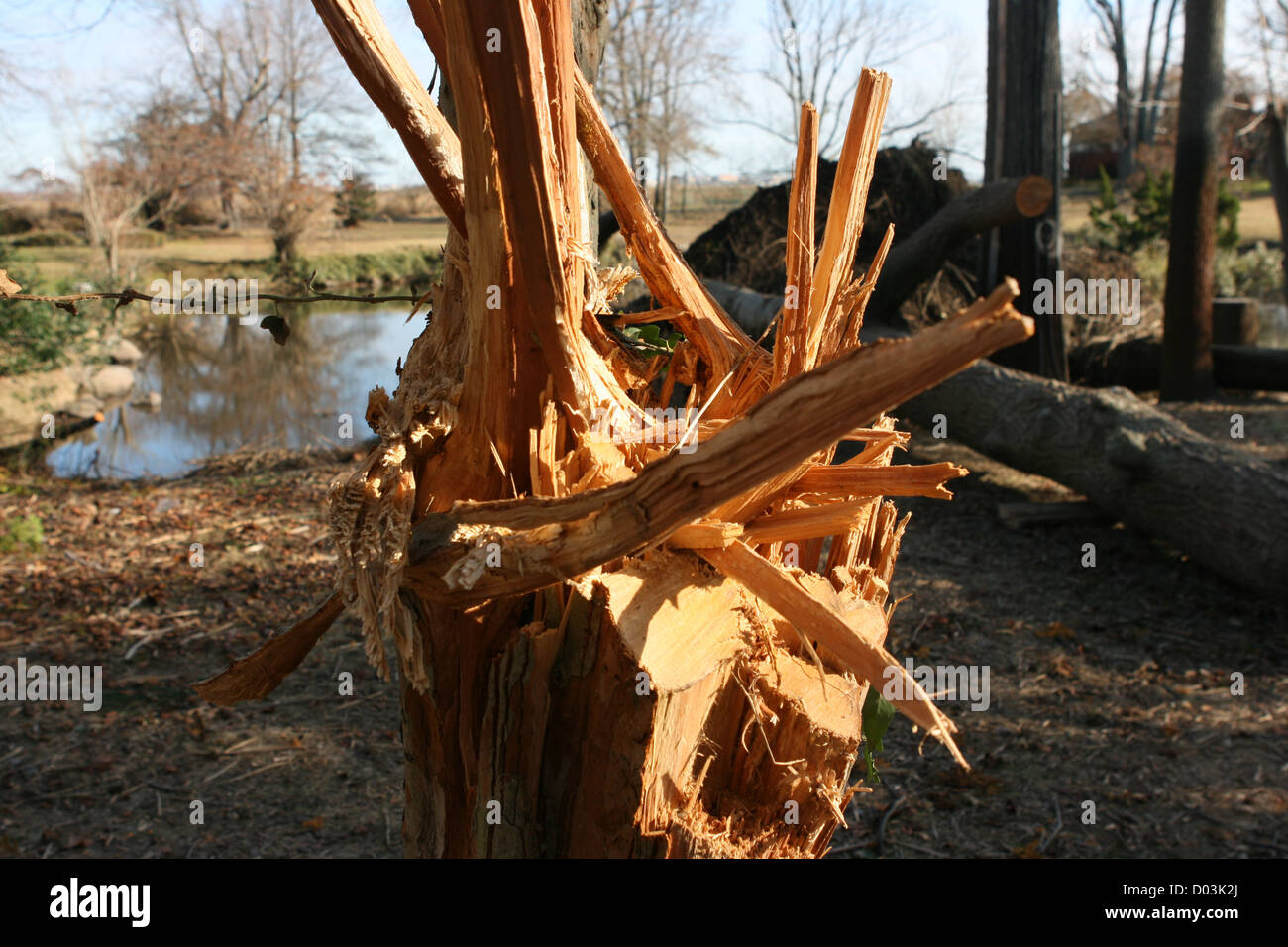 Cedarhurst hi-res stock photography and images - Alamy