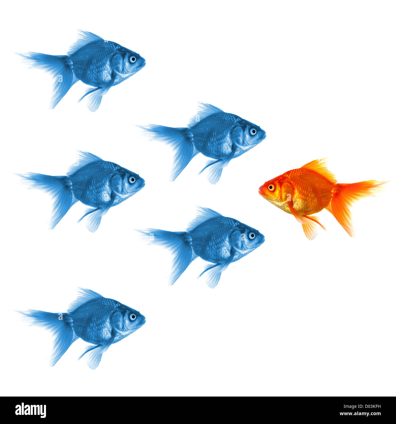 individual success winner outsider boss or motivation concept with ...