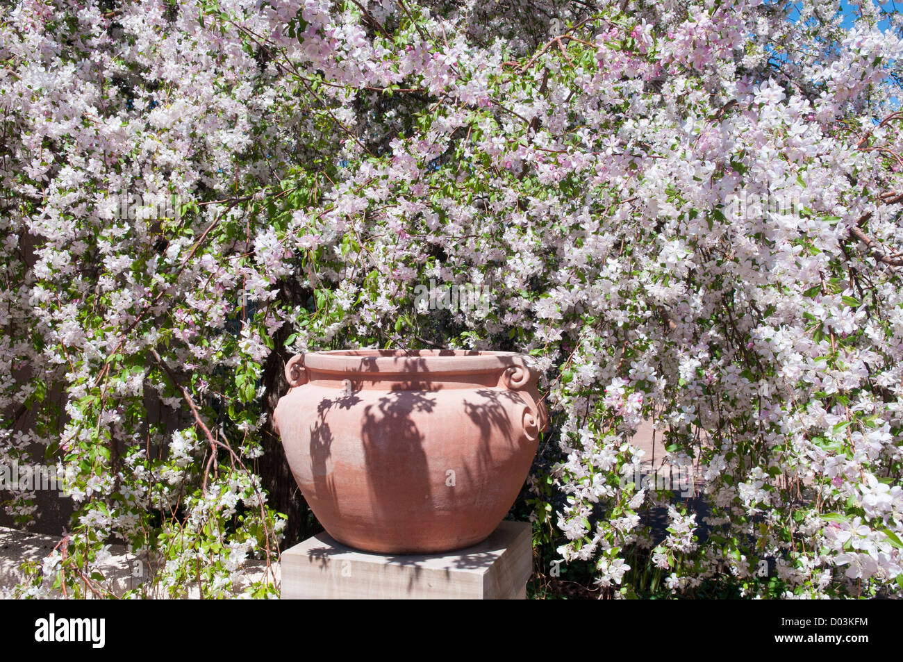 Denver botanic garden hi-res stock photography and images - Alamy