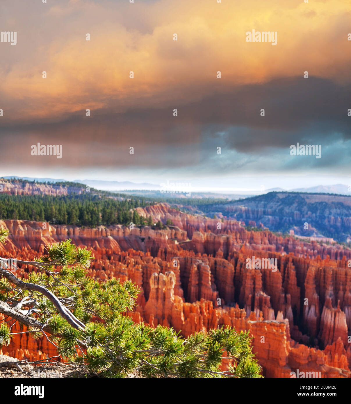 rain in Bryce Canyon Stock Photo - Alamy