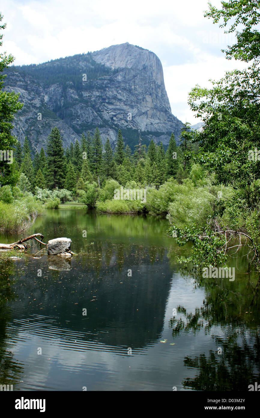 Mirror leaf pattern hi-res stock photography and images - Alamy