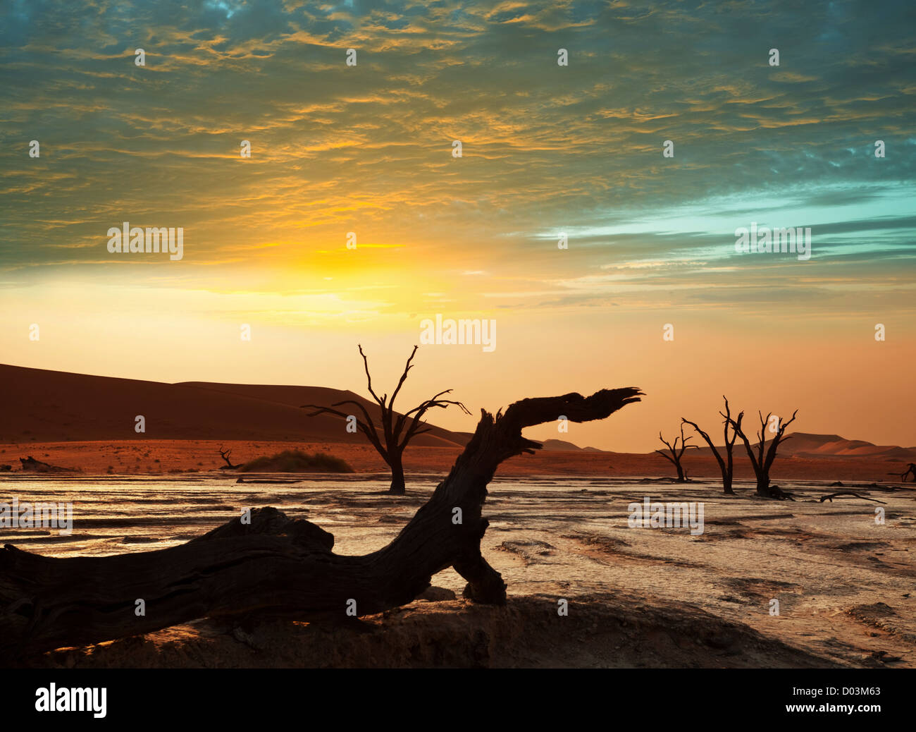 Dead valley in Namibia Stock Photo - Alamy