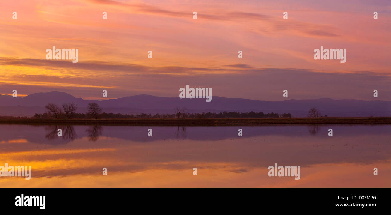 Reflections in flooded rice fields in the Sacramento Valley, California ...