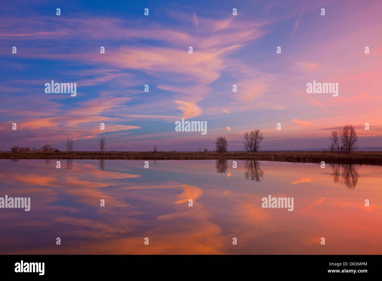 Reflections in flooded rice fields in the Sacramento Valley, California ...