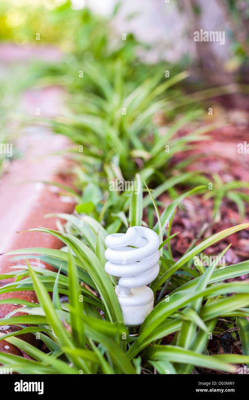 Glass lightbulb green tree growing hi-res stock photography and images ...