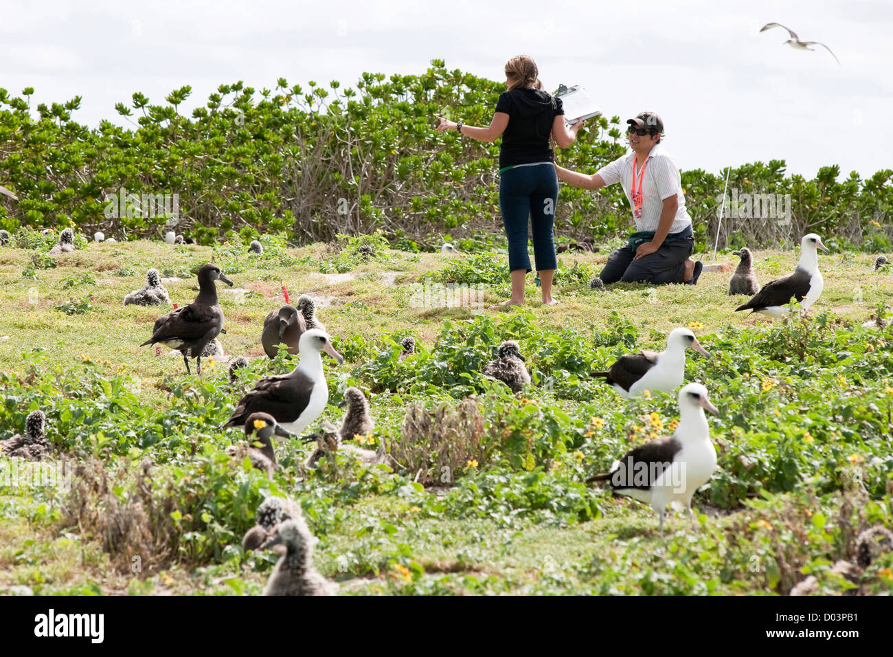 Scientists field work america hi-res stock photography and images - Alamy