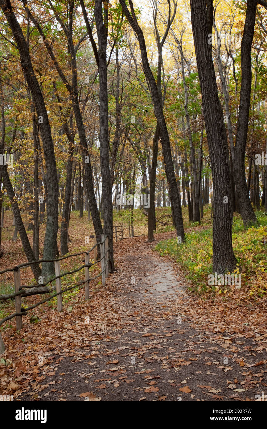 Iowa, Effigy Mounds National Monument, trail to Great Bear and Little ...