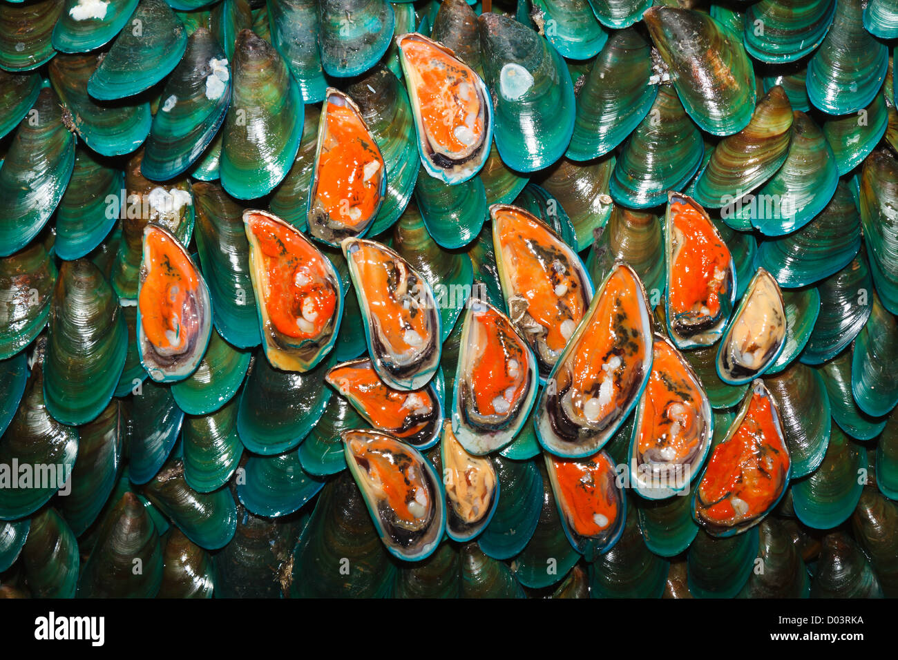 Sale of Mussels on a Fish Market in Bangkok, Thailand Stock Photo - Alamy