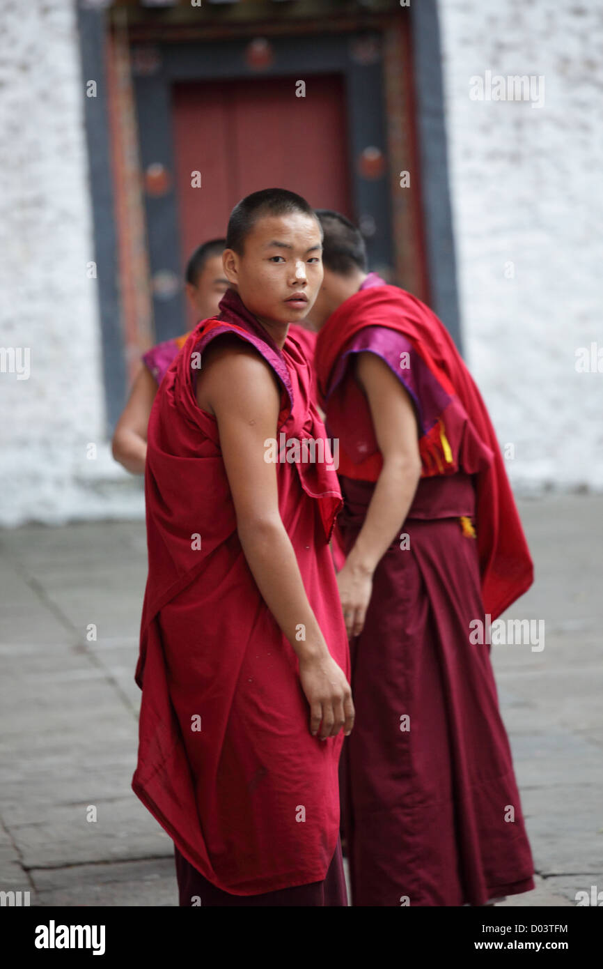 A group of young monks in Bhutan Stock Photo - Alamy