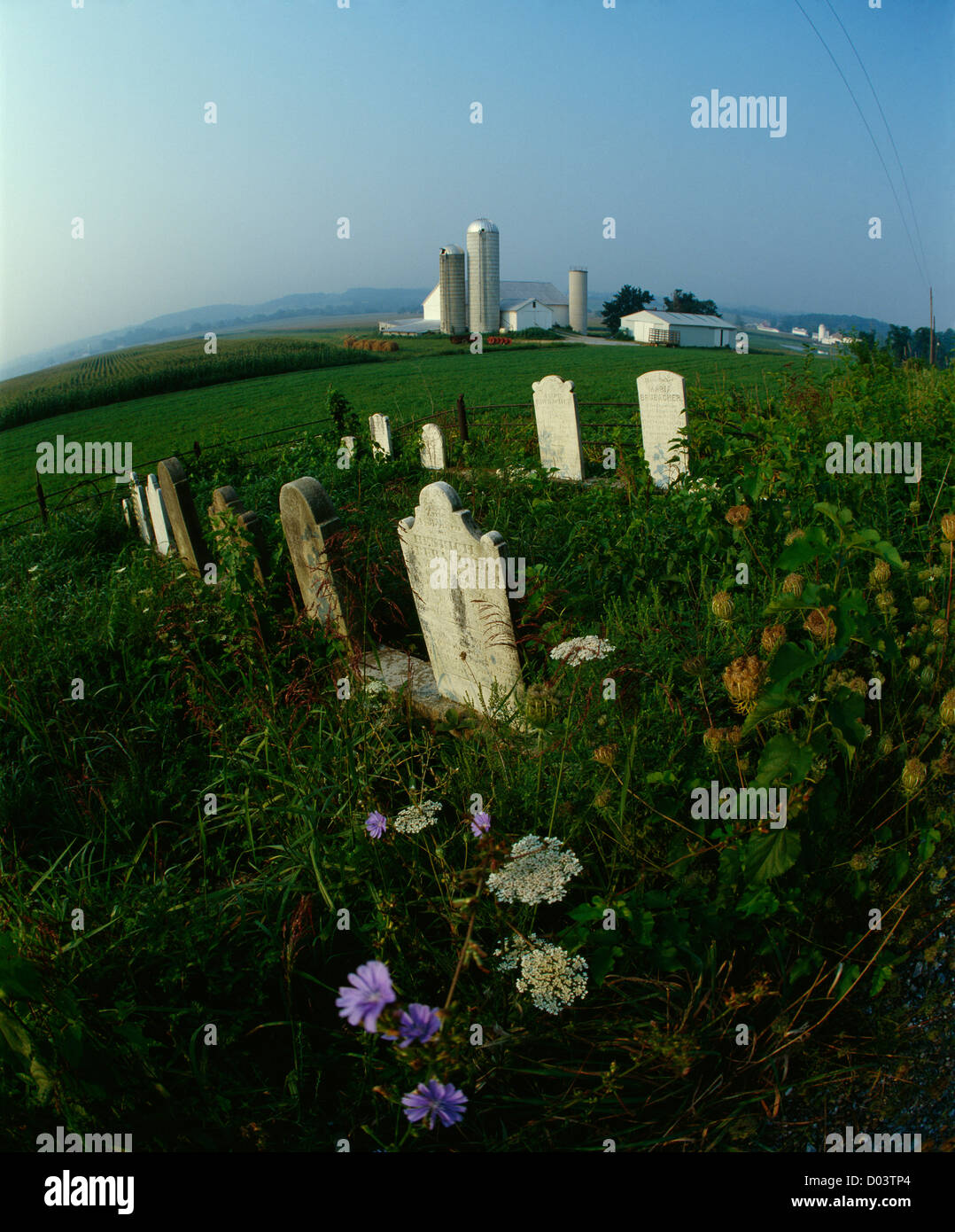 Old fashioned headstone hi-res stock photography and images - Alamy