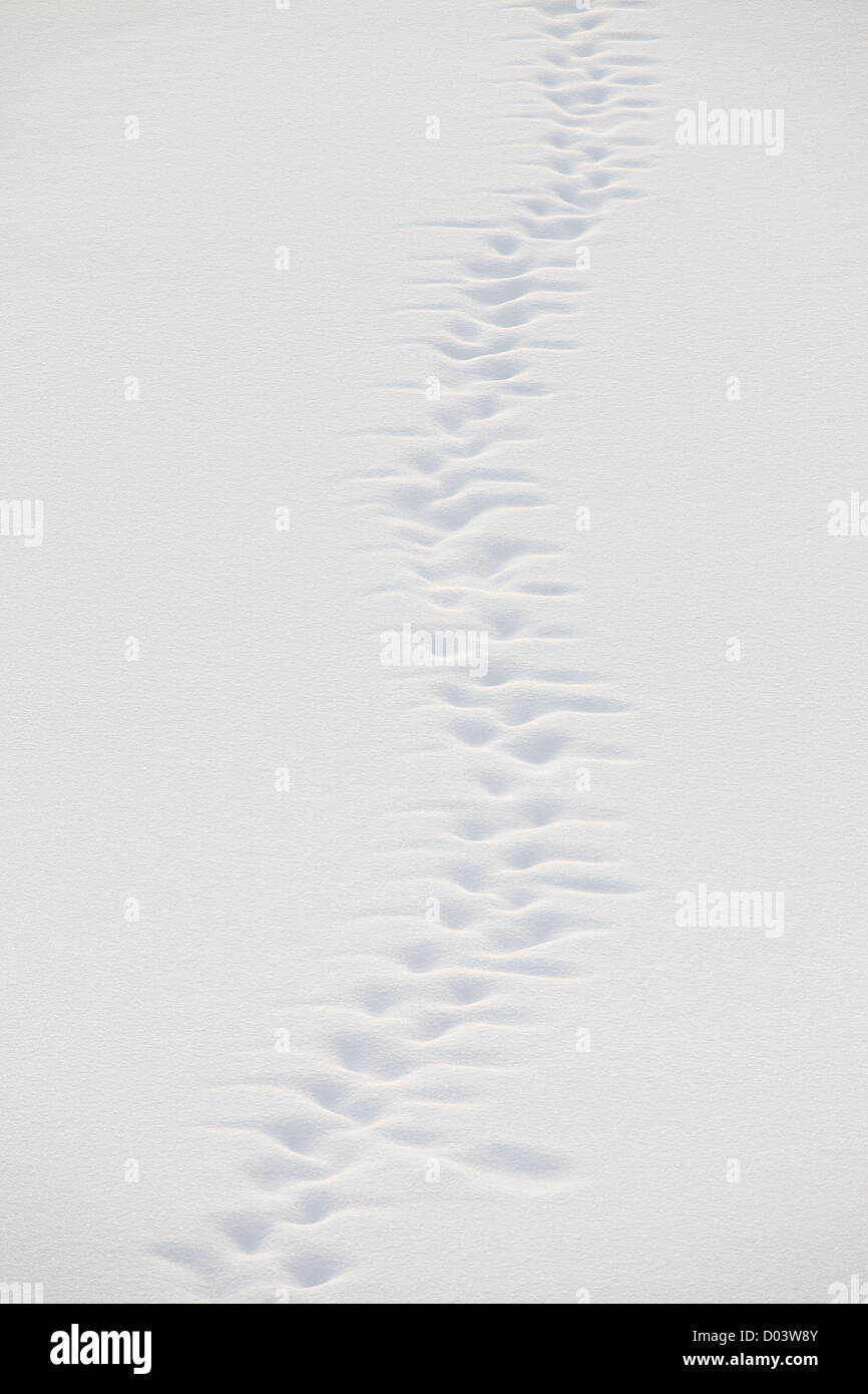 track on snow, snow background, beautiful snow white texture Stock ...