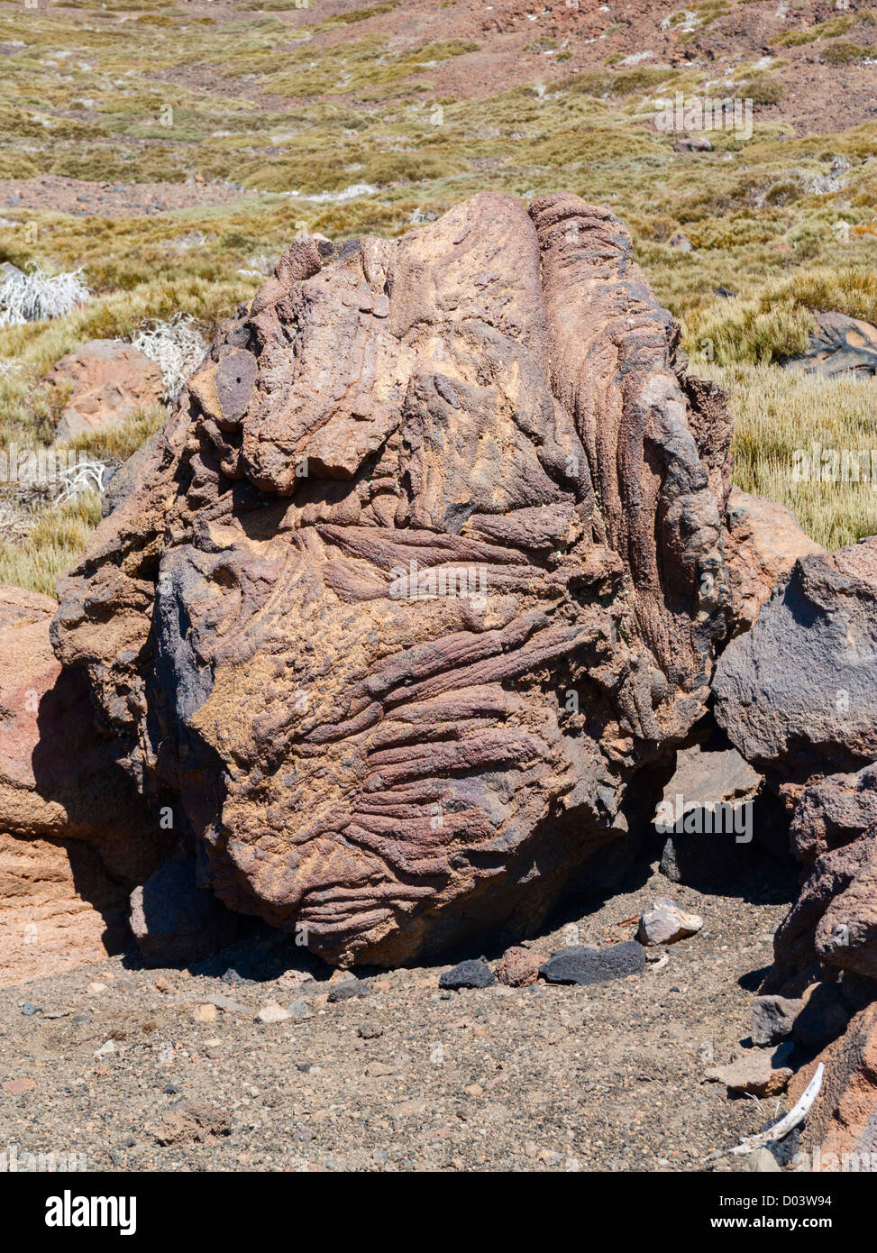 Lava pattern on large volcanic rock near El Teide volcano on Tenerife, Canary Islands, Spain ...