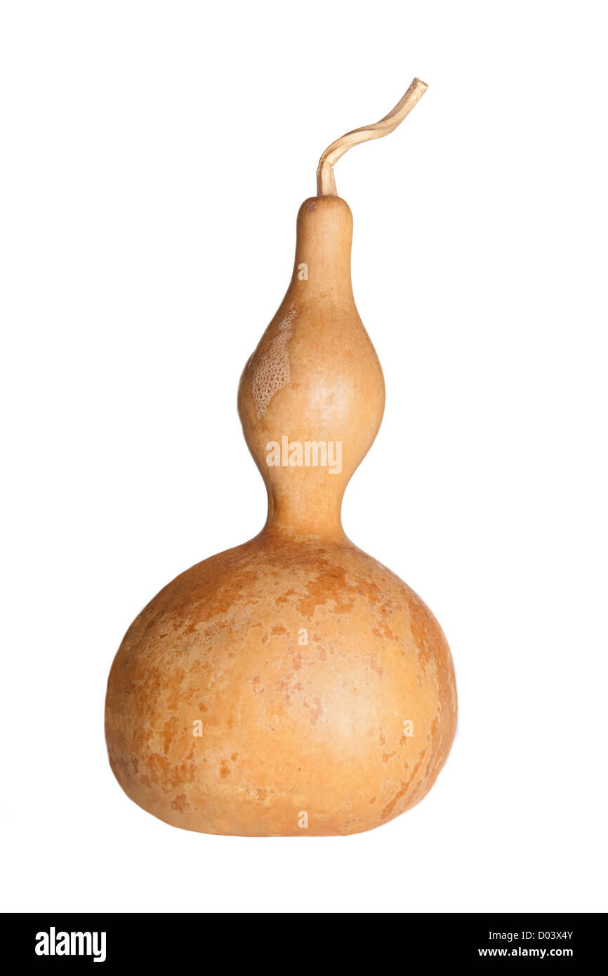 Dry pumpkin isolated on a white background Stock Photo - Alamy