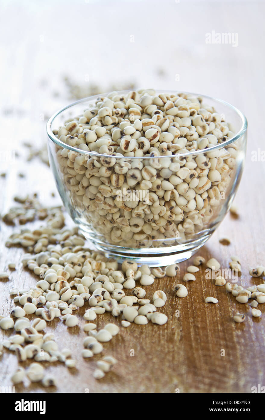 The seed of job's tears hi-res stock photography and images - Alamy