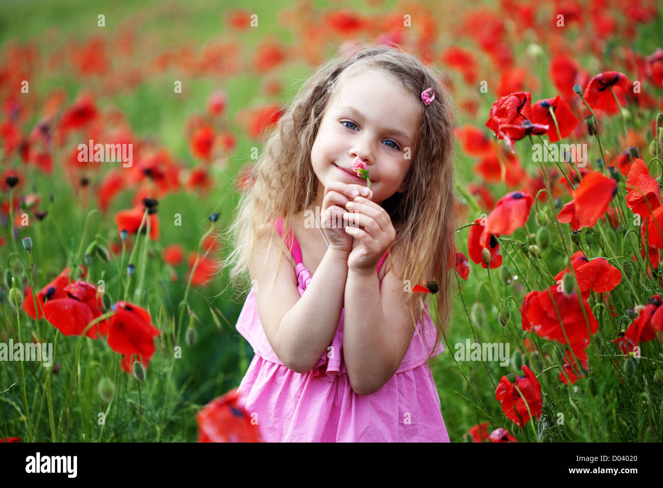 Cute child girl in poppy field Stock Photo - Alamy