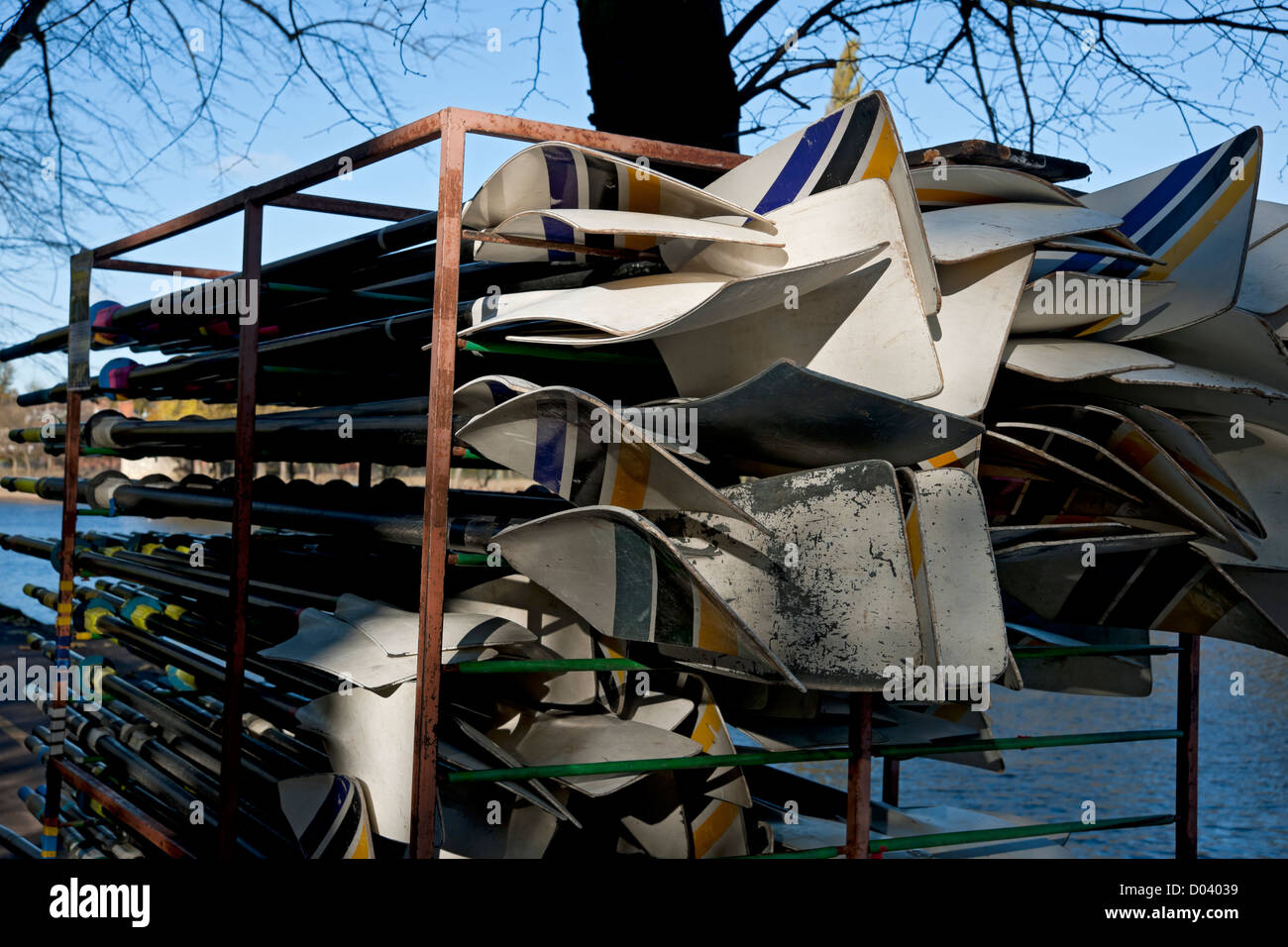 Close up of rowing boat oars in a rack York North Yorkshire England UK ...