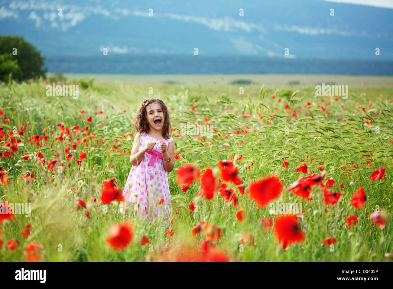 Cute child girl in poppy field Stock Photo - Alamy