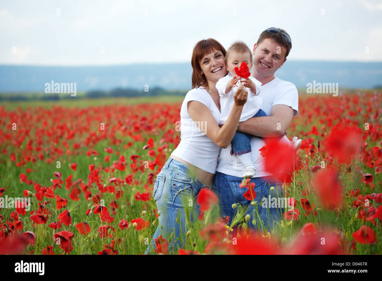 The poppy family group hi-res stock photography and images - Alamy