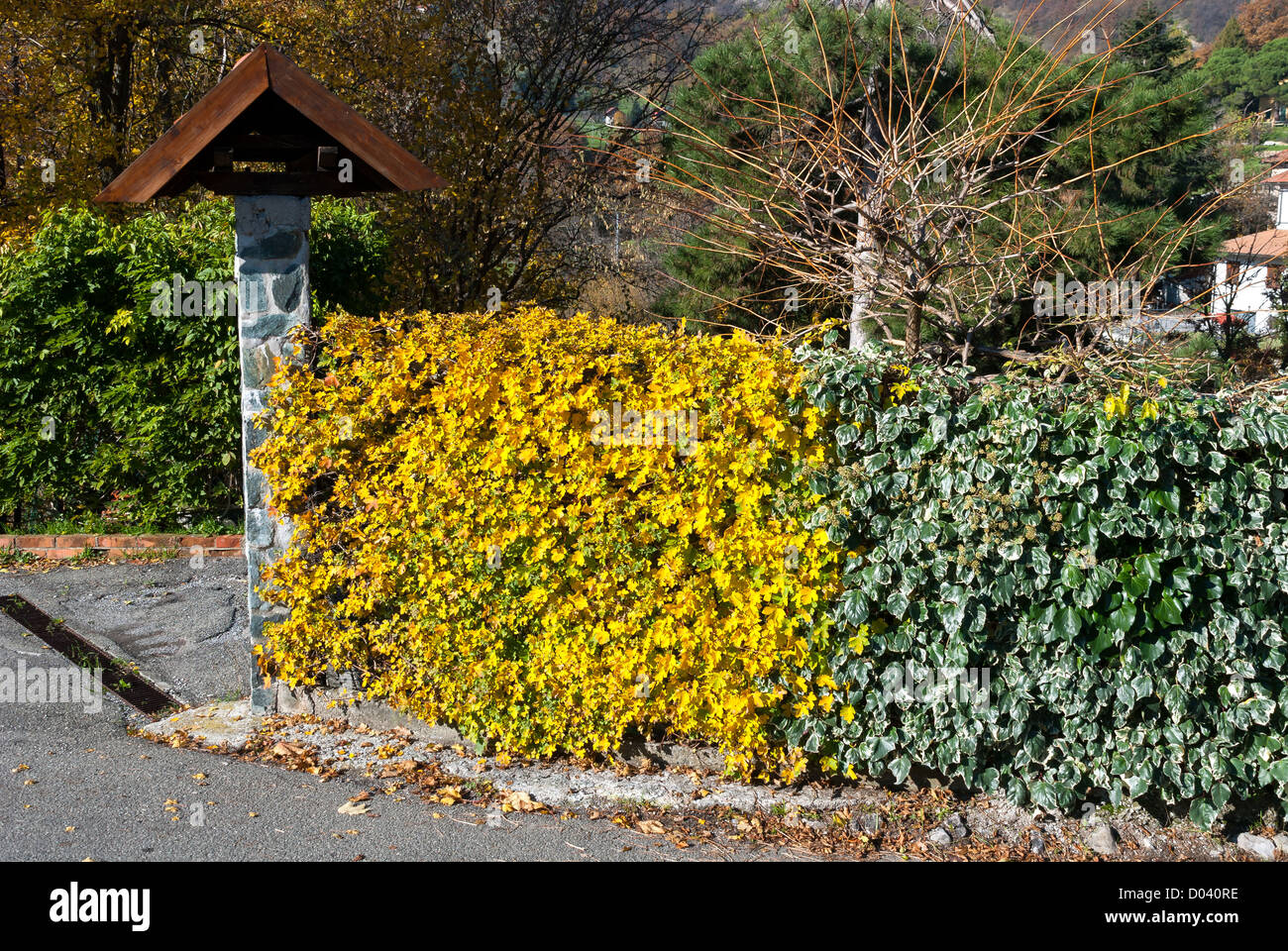 The yellow gate hi-res stock photography and images - Alamy