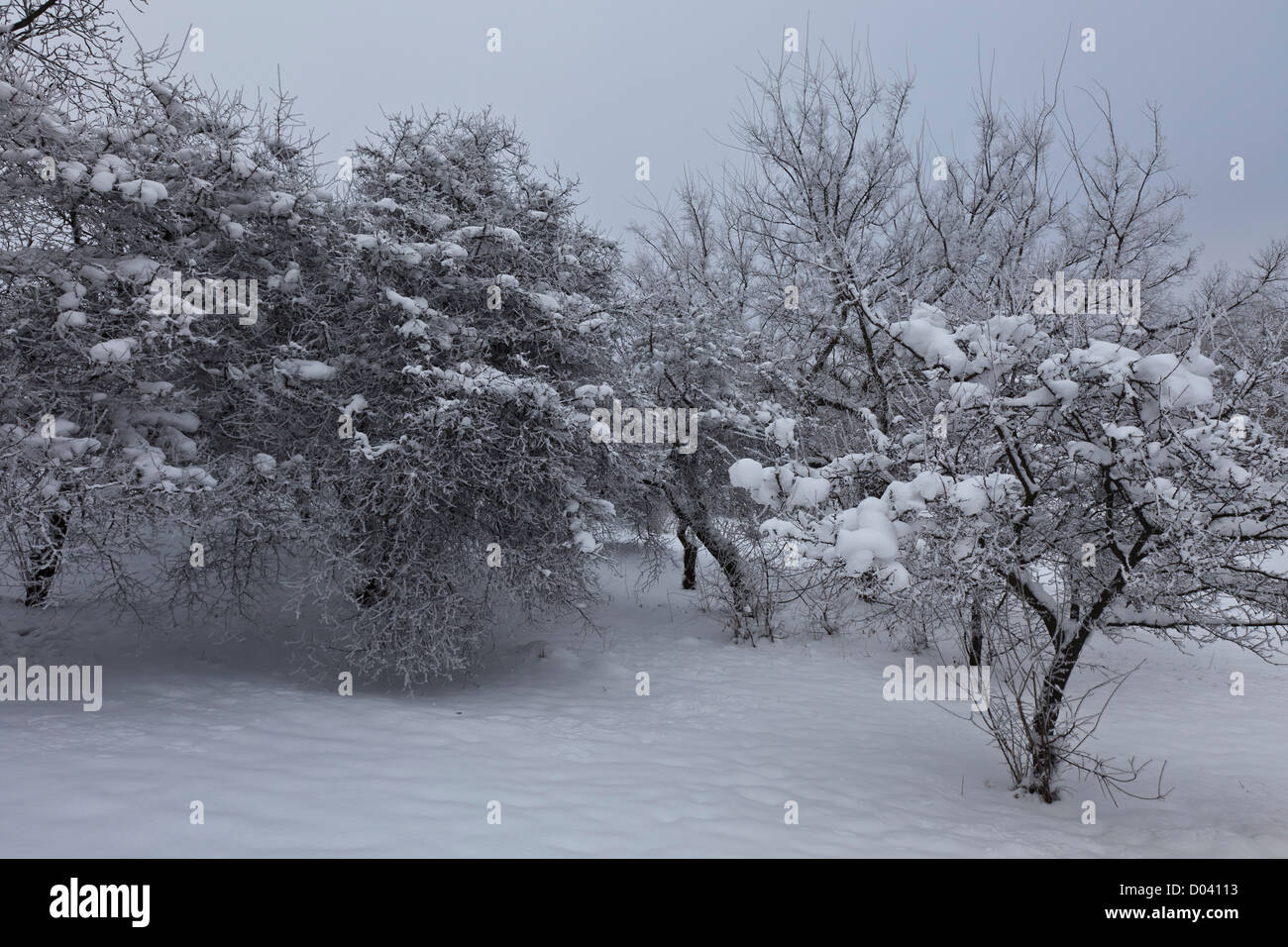 Winter landscape image snow hi-res stock photography and images - Alamy