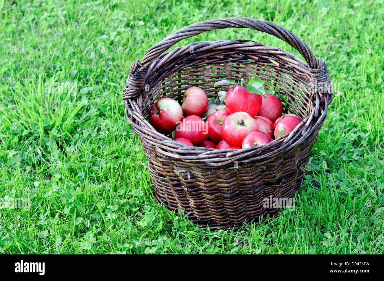 a crop of red apples Stock Photo - Alamy