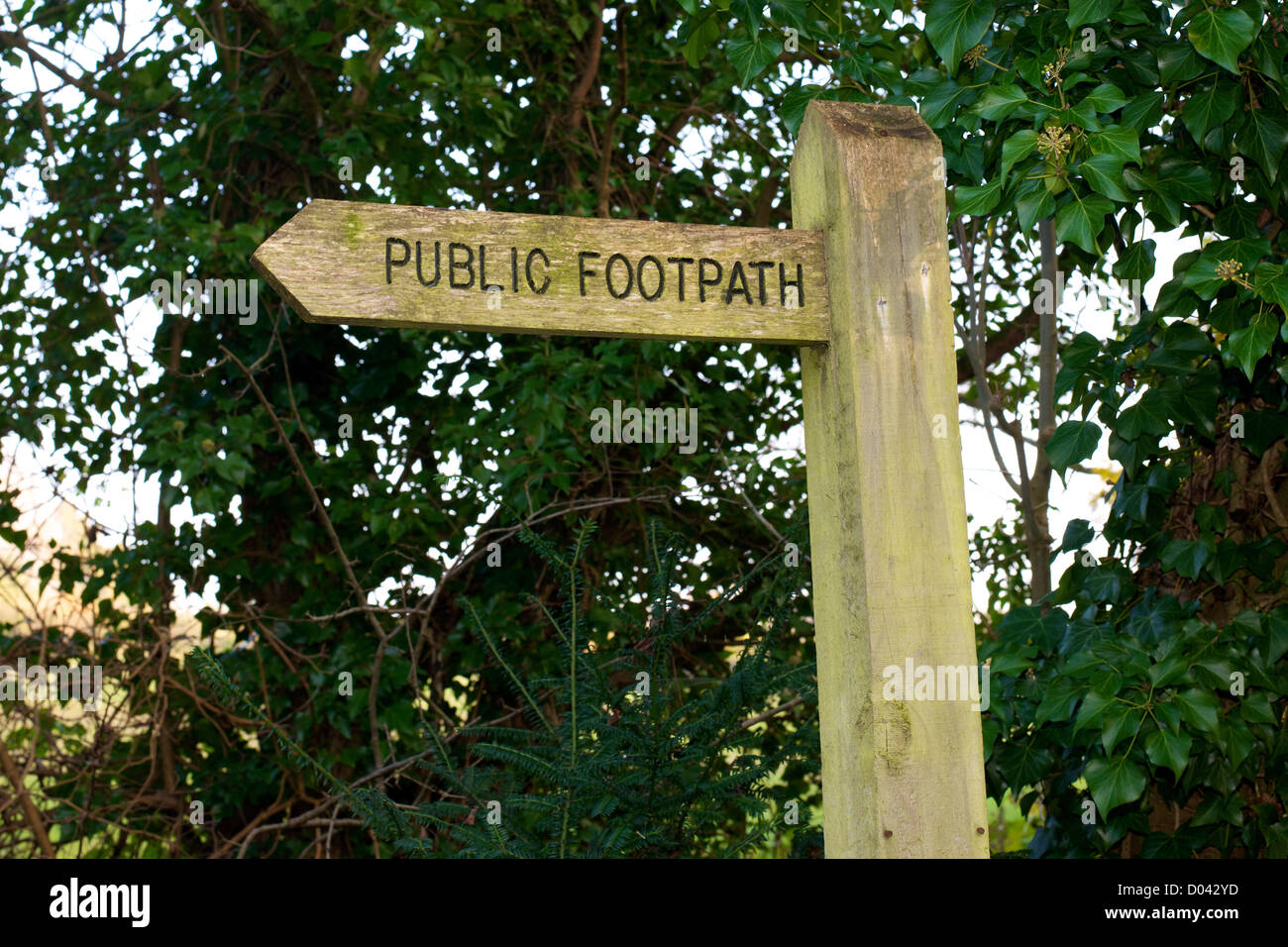 Public Footpath sign in a Surrey woodland Stock Photo - Alamy