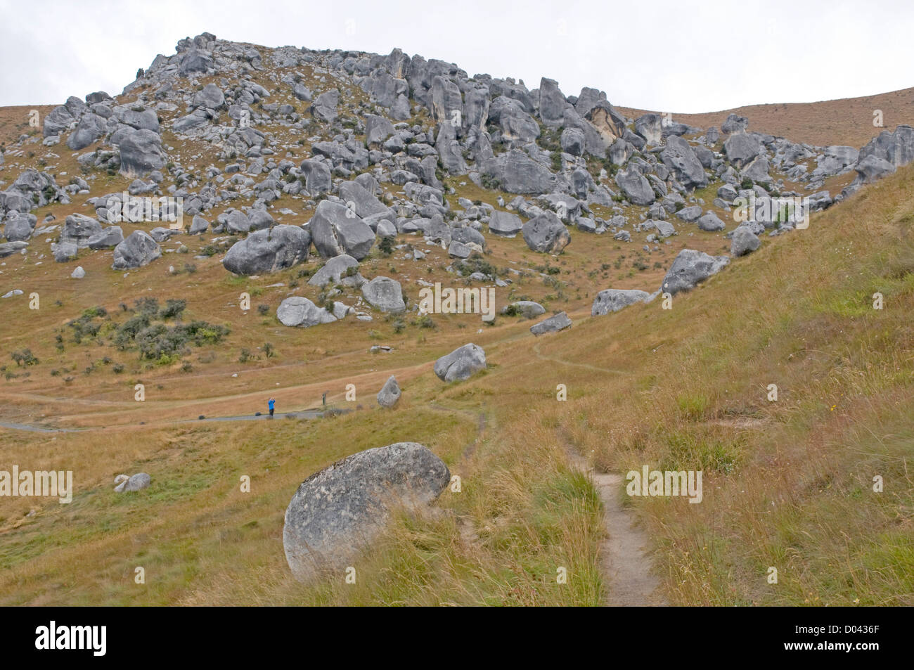 Weird limestone rocky outcrops at Castle Hill in New Zealand's South ...