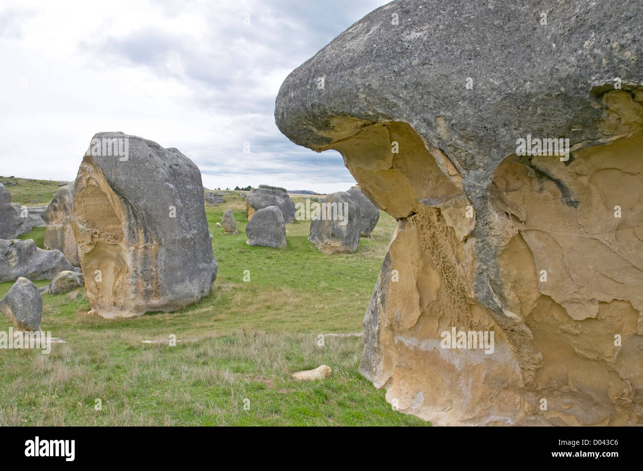 The weird landscape at Elephant Rocks, North Otago in the South Island ...