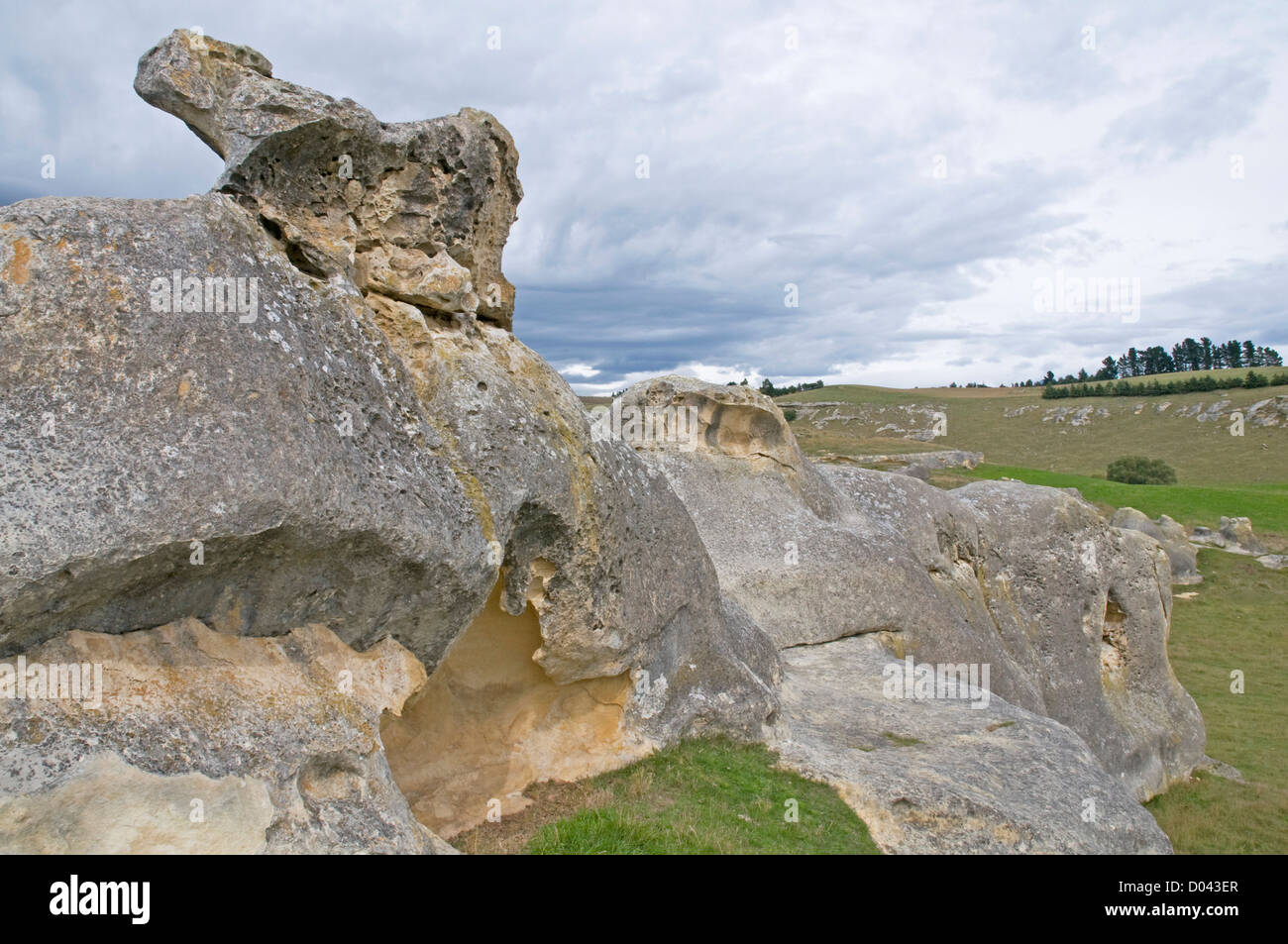 The weird landscape at Elephant Rocks, North Otago in the South Island ...