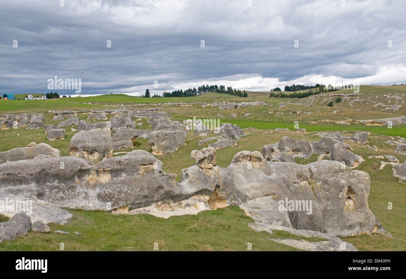 The weird landscape at Elephant Rocks, North Otago in the South Island ...
