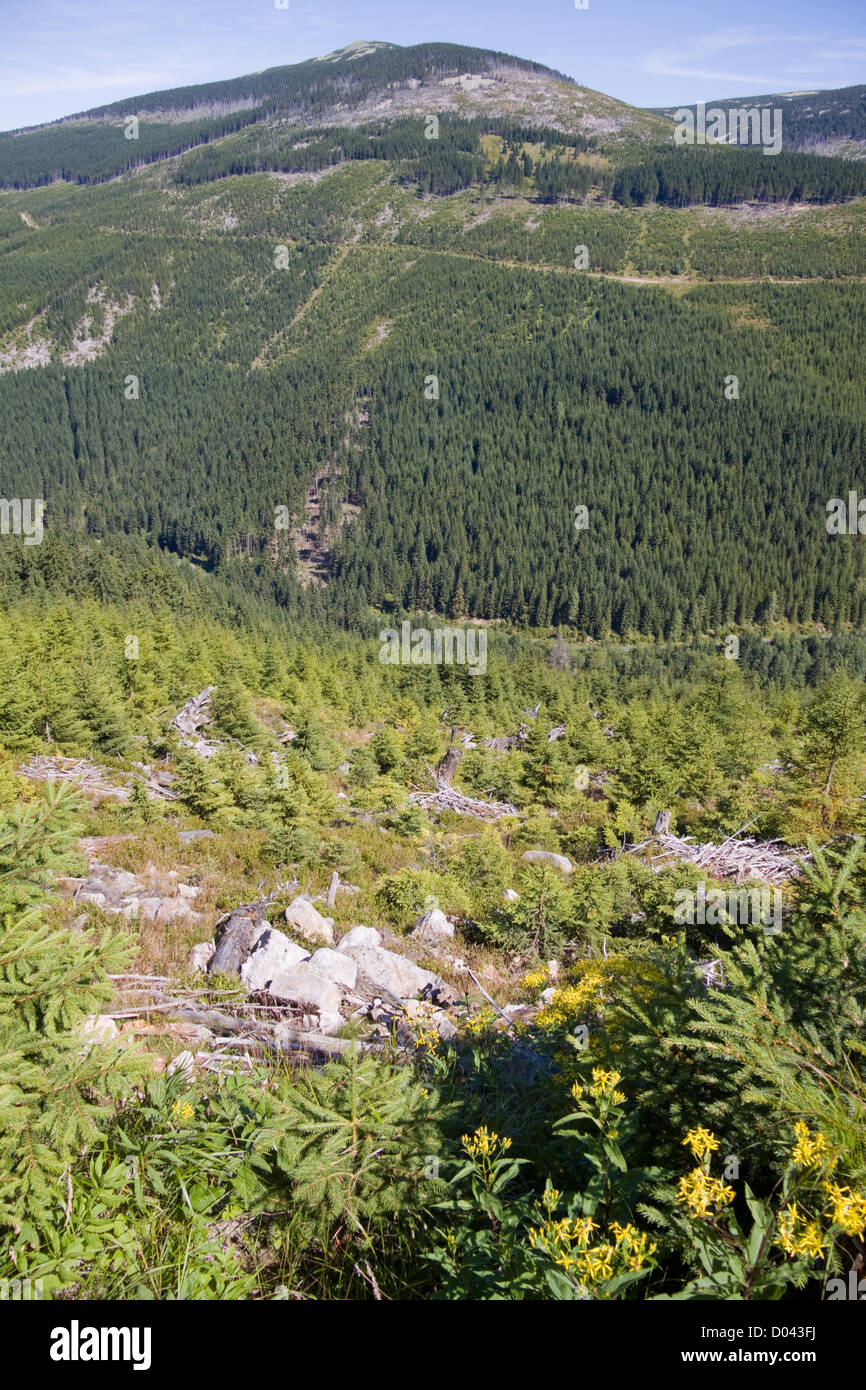 Overlooking a valley Stock Photo - Alamy
