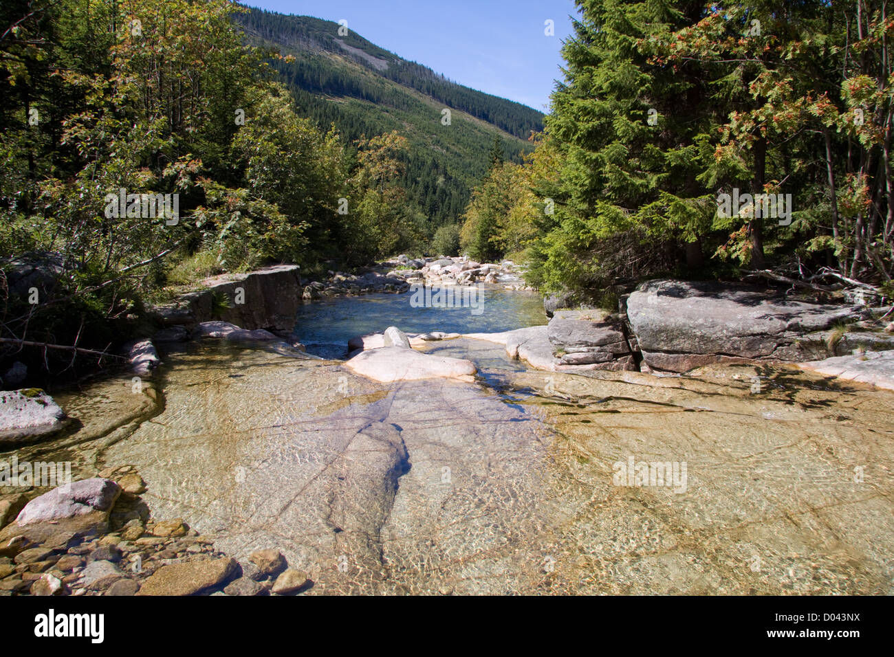 Source of river labe elbe hi-res stock photography and images - Alamy