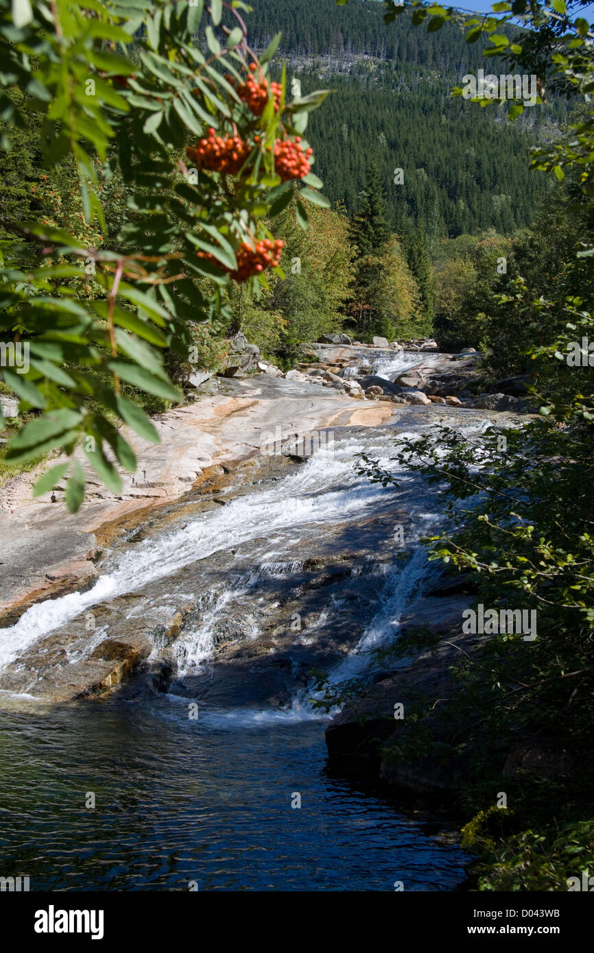 Source of river labe elbe hi-res stock photography and images - Alamy