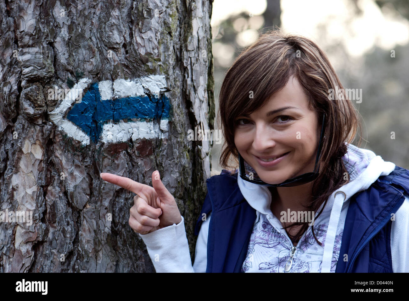 Blue tourist sign in forest Stock Photo - Alamy