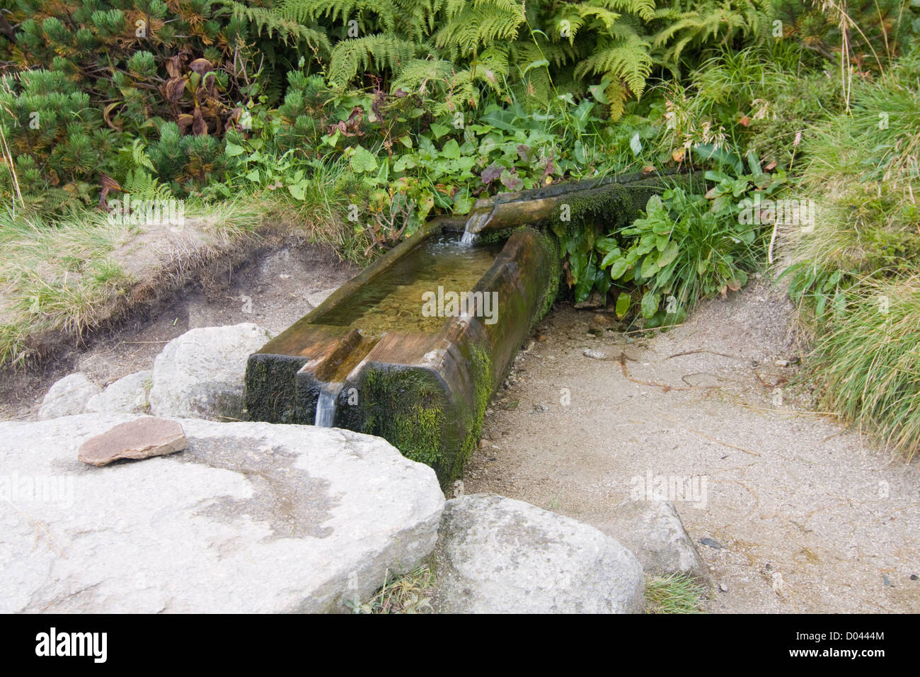 Trough on trail Stock Photo - Alamy