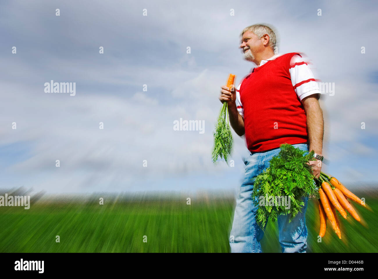 Carrot farmer in a carrot field on a farm Stock Photo - Alamy