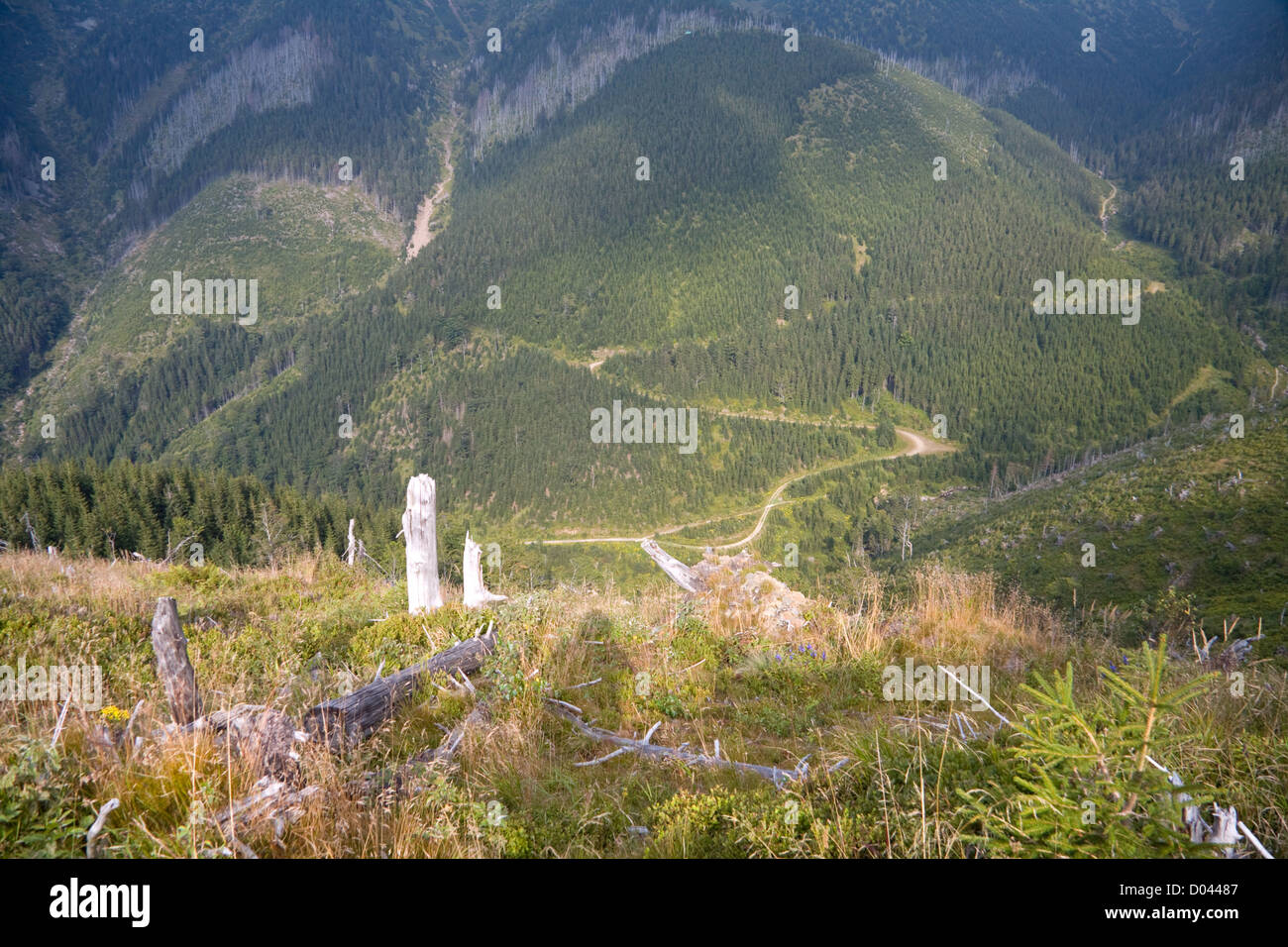 Steep slope at Spindler Mlyn Stock Photo - Alamy
