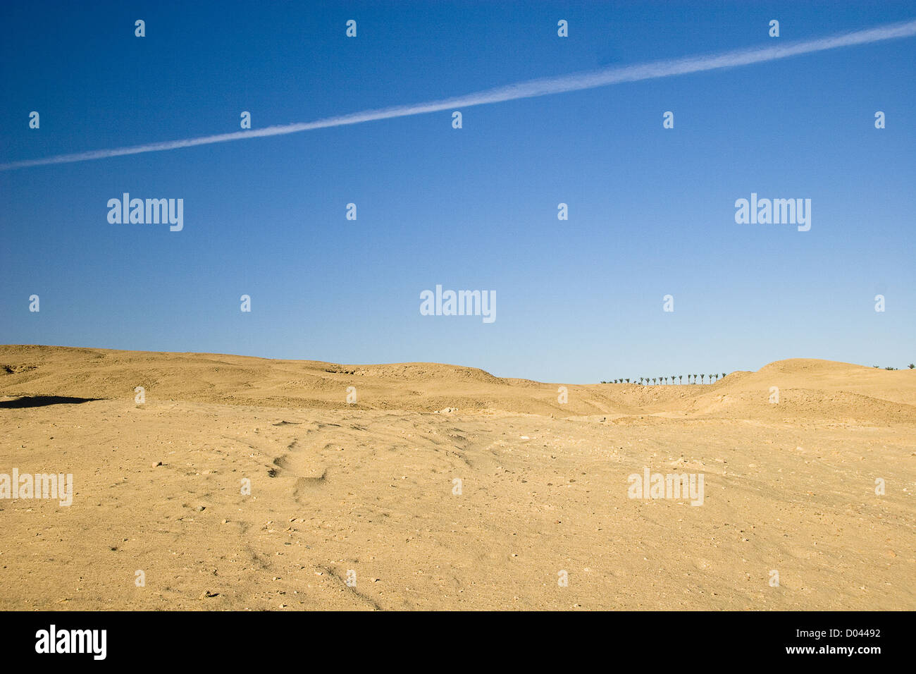 Egyptian desert hi-res stock photography and images - Alamy